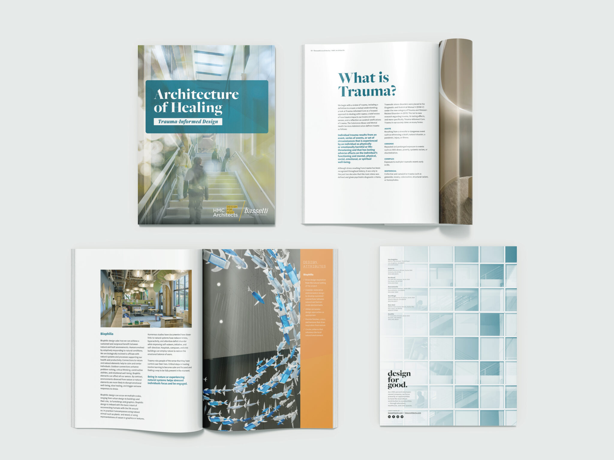 Unlock the Strategies Behind Trauma-Informed Design - HMC Architects