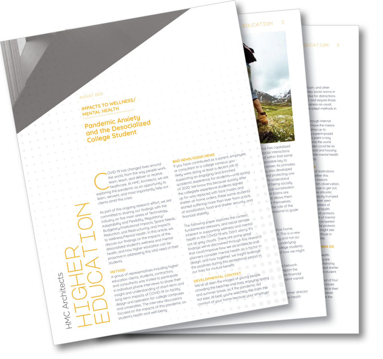 Pandemic Anxiety and the Desocialized College Student | COVID-19 ...